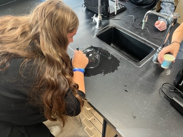 Live Feed | Riverdale Local Schools